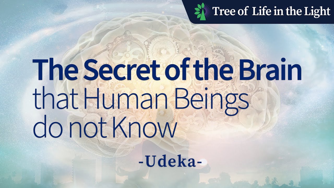 The Secret of the Brain that Human Beings do not Know - YouTube