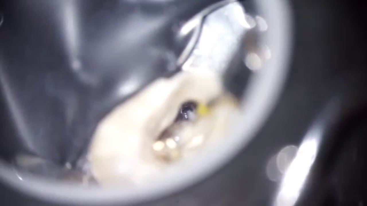 broken file retrieval with cheap us tips - u files from mani - YouTube