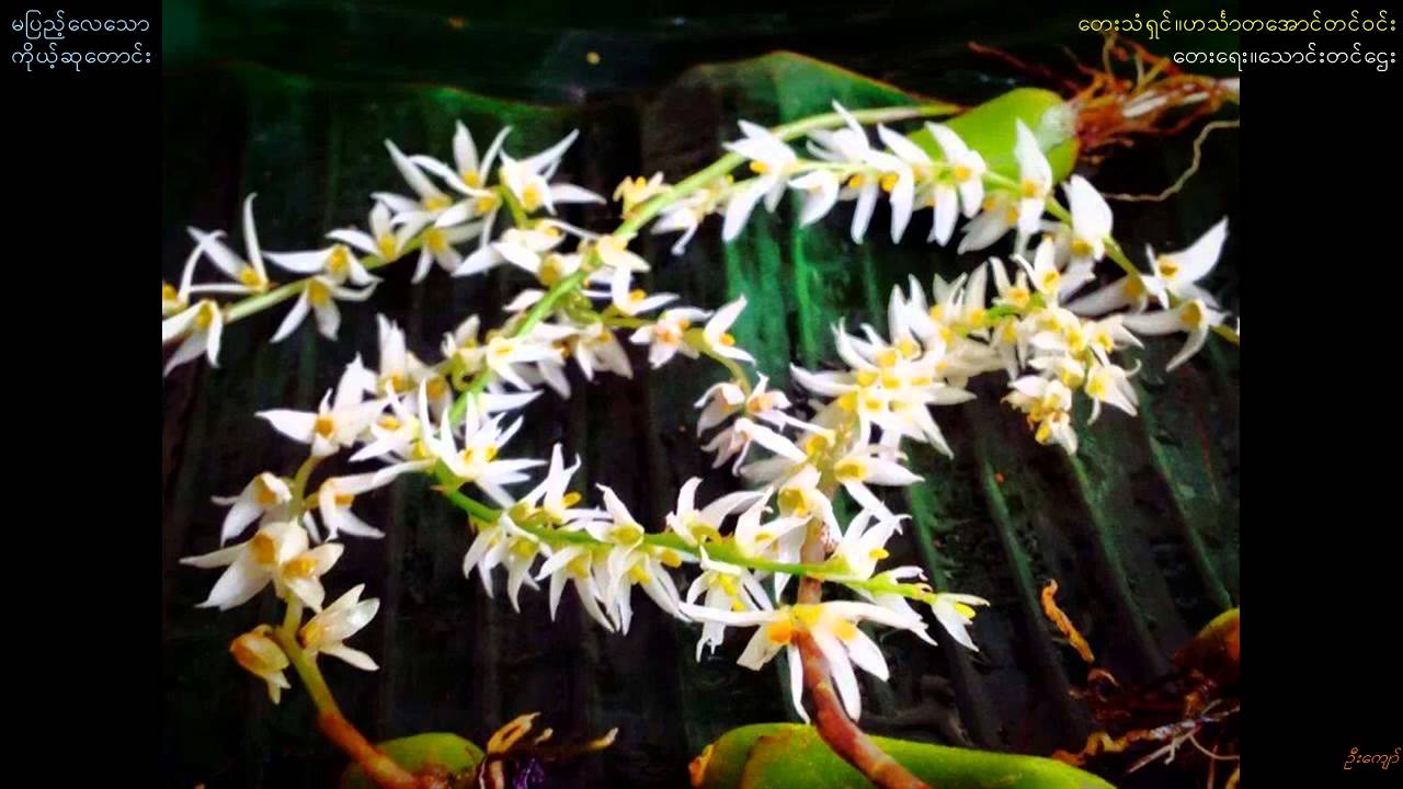 HTD Aung Tin Win-"Ma Pyae Lay Thaw Ko Su Taung" - YouTube