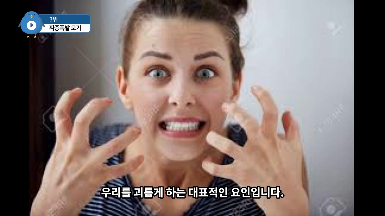 가장 혐오스러운 벌레top5 Youtube