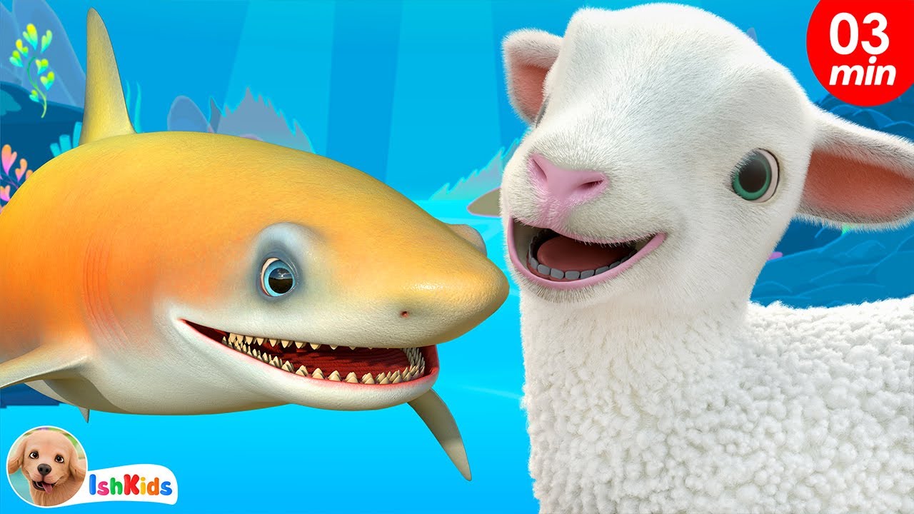 Baby Shark + Baa Baa Black Sheep | Baby Songs | Nursery Rhymes ...