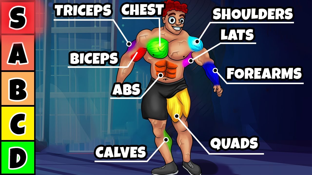 Ranking ALL Exercises For Each Muscle Group (best to worst) - YouTube