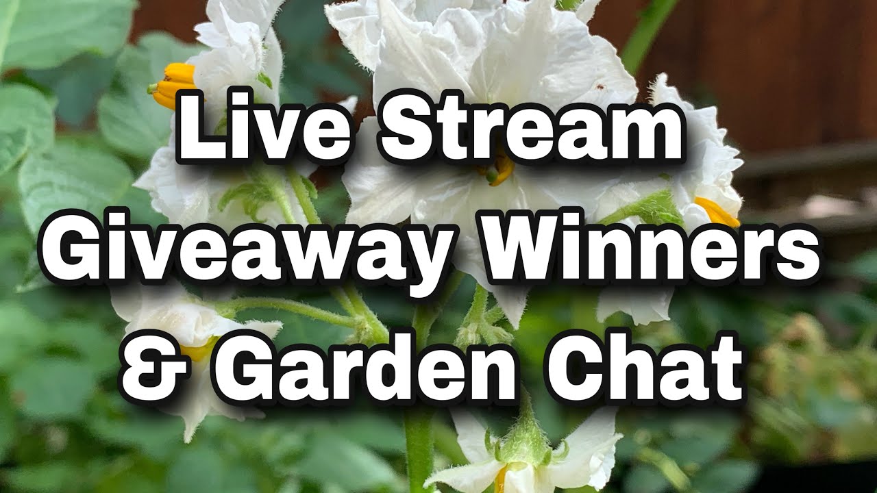 Live Stream: Giveaway Winners & Garden Tips! (REPLAY) #withme - YouTube