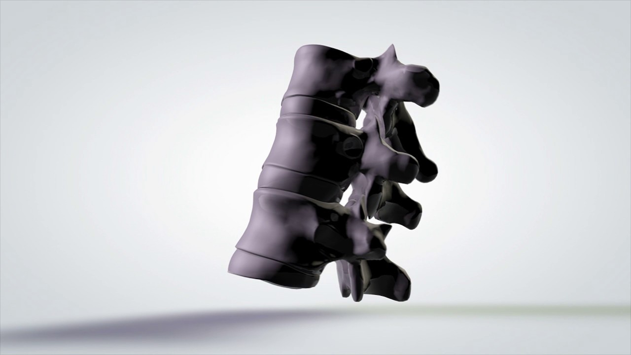 3d rotating anatomical model human vertebrae yBieqb r - YouTube