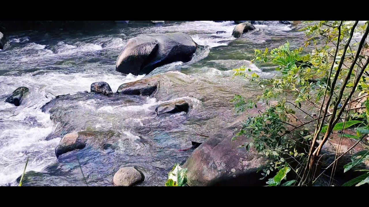 "Calm Waters, Peaceful Mind: River Sounds forMeditation" - YouTube