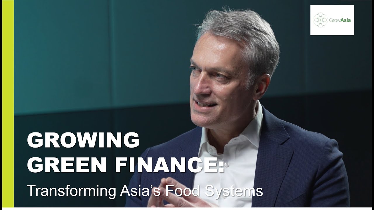Rabobank CEO of Singapore, Harjan Kuiper - YouTube