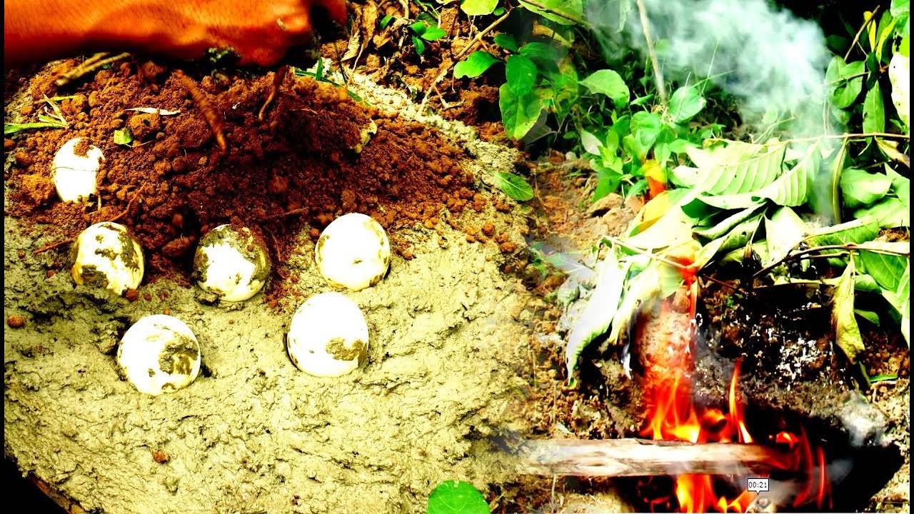 Primitive technology collection : cooking age at the primitive way ...