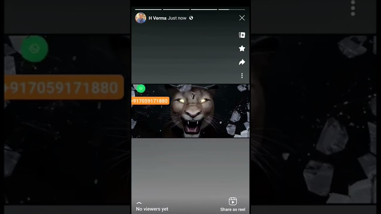 MetaForce NFT Royalty | Join Team MetaForce UNIVERSE 🌍 Whatsapp ...