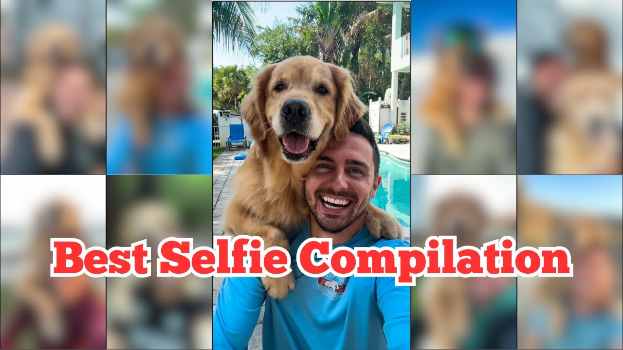 The Best Dog Selfie Compilation - YouTube