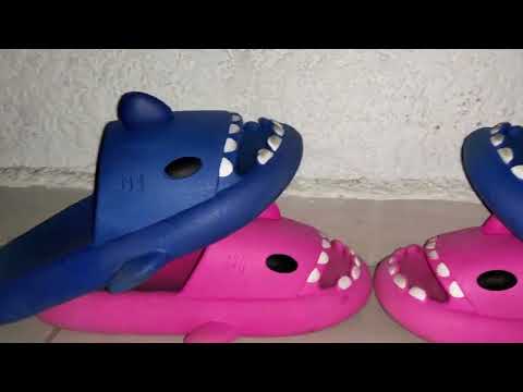 cosas que debes saber de las sharkclas - YouTube