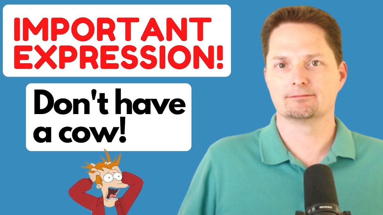 American pronunciation,American accent training,American English, HAVE ...