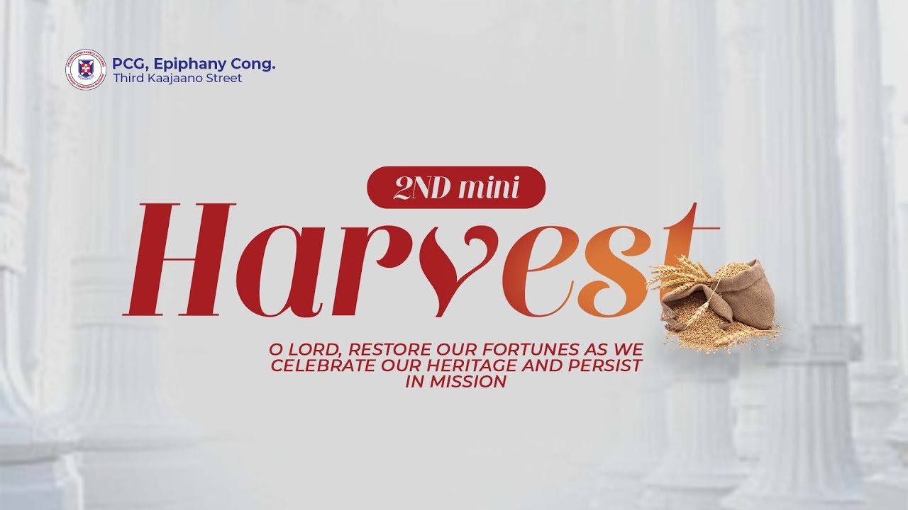 2ND MINI HARVEST | 31-08-2025 - YouTube