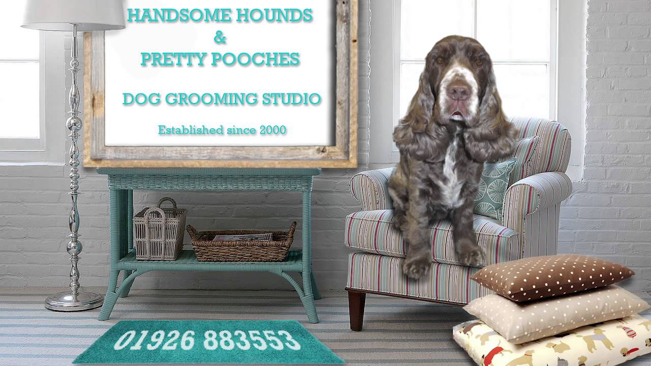 HANDSOME HOUNDS & PRETTY POOCHES DOG GROOMING STUDIO COMMERCIAL 1 - YouTube