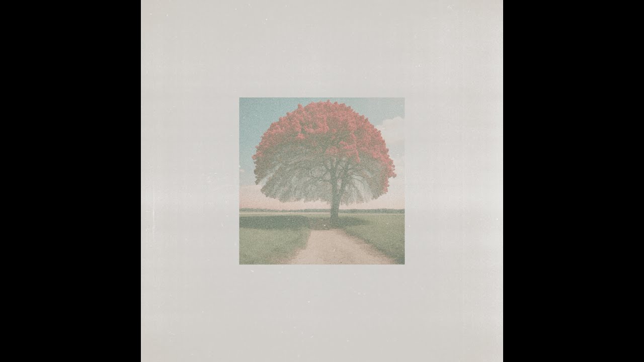 Sebastian Duda - Beautiful Day - YouTube