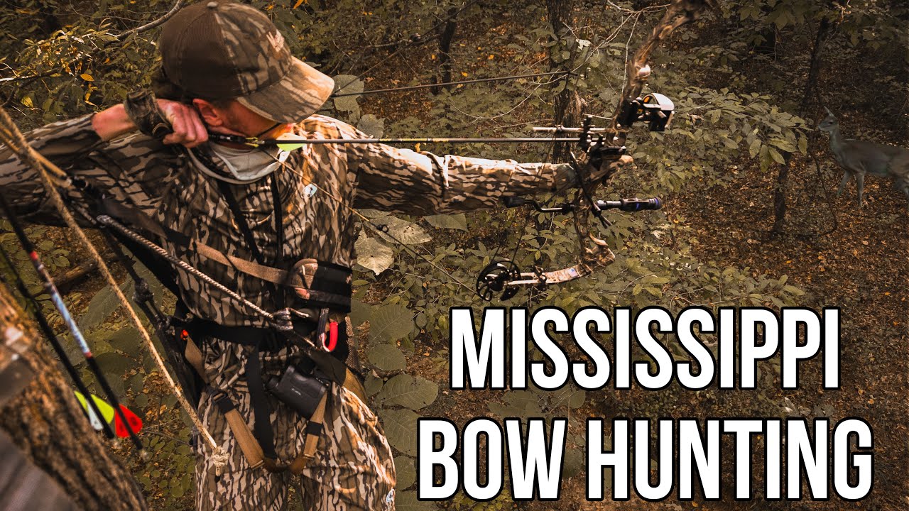 Mississippi Bow Hunting - 4 Hunts in 10 Minutes - Herd Management - YouTube