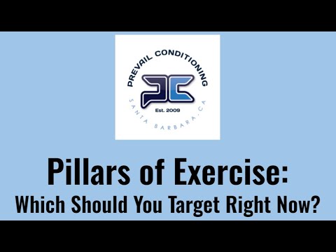 #8 - Pillars of Exercise: Which Should You Target Right Now? - YouTube