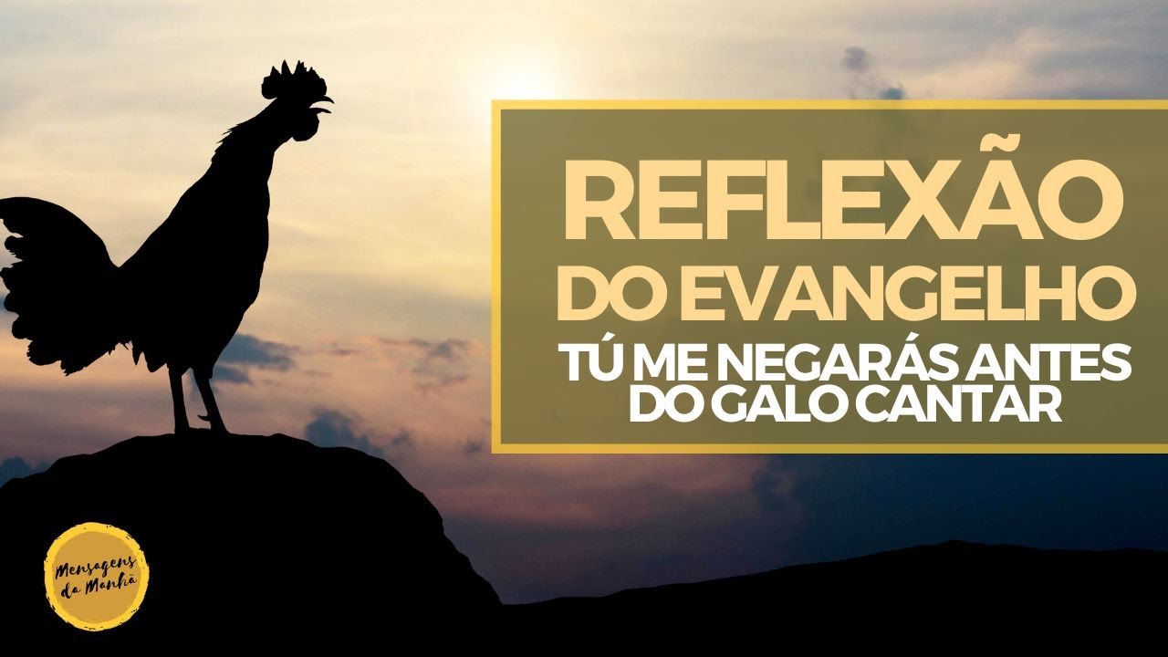 Reflexão do evangelho - Tu Me negarás antes do galo cantar - YouTube