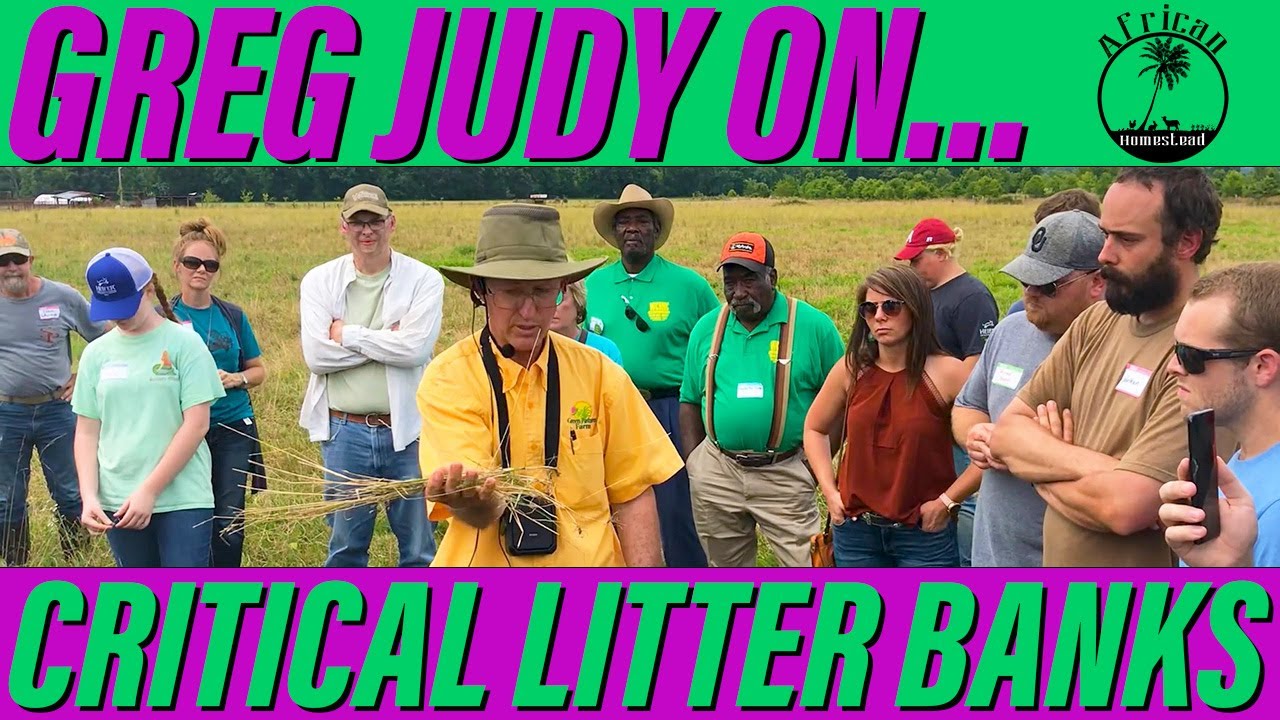 Greg Judy On... The Importance of Litter Banks in Regenerative Grazing ...