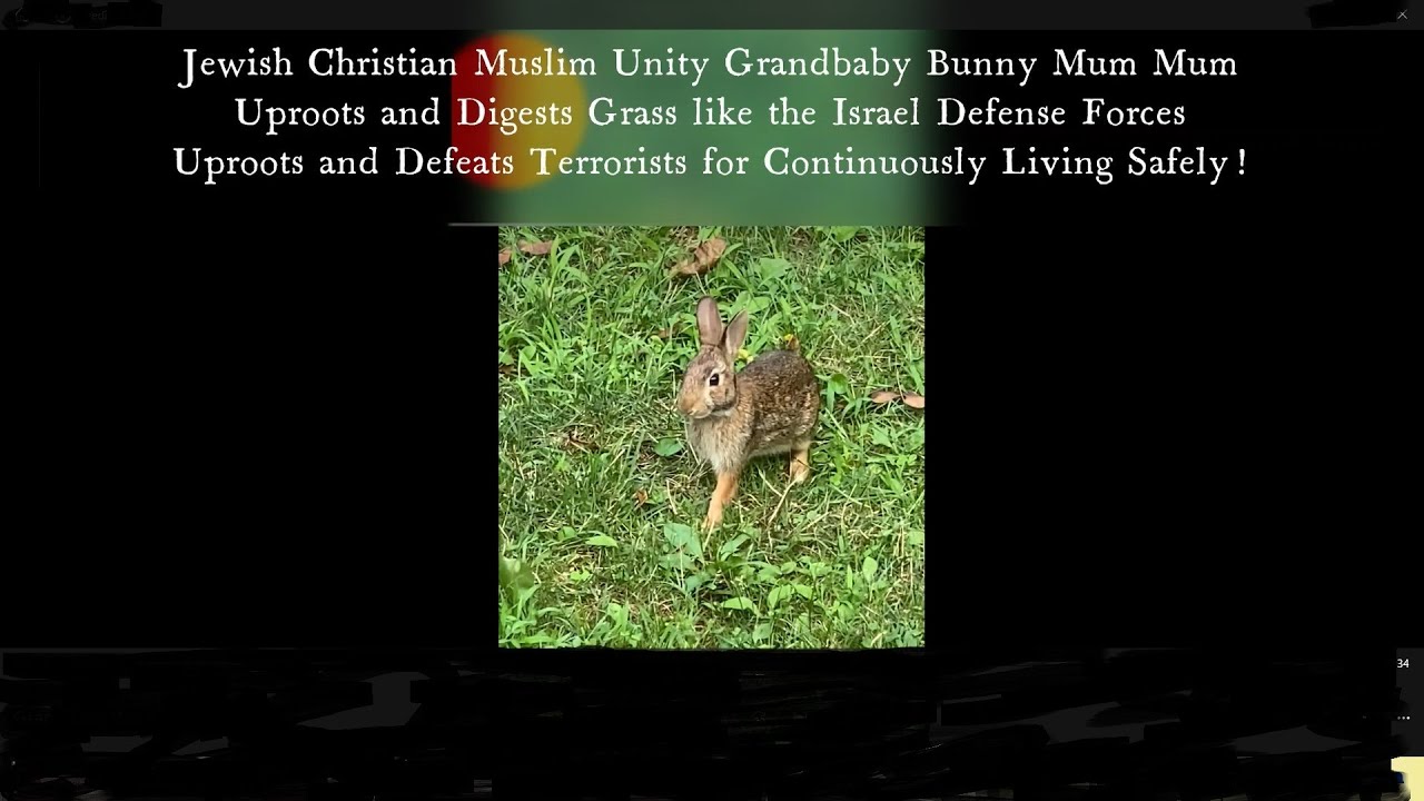 First Ever Jewish Christian Muslim Grandbaby Bunny Fundraising for ...