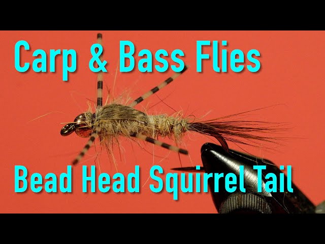 Squirrel Tail Pattern