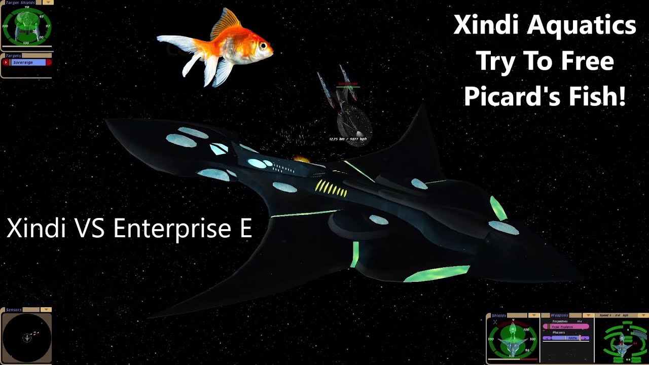 Xindi Aquatics VS Picard's Fish | Aquatics Want To Free Them! | 2 ...