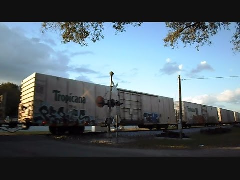 CSX Tropicana Juice Train Bushnell Florida - YouTube
