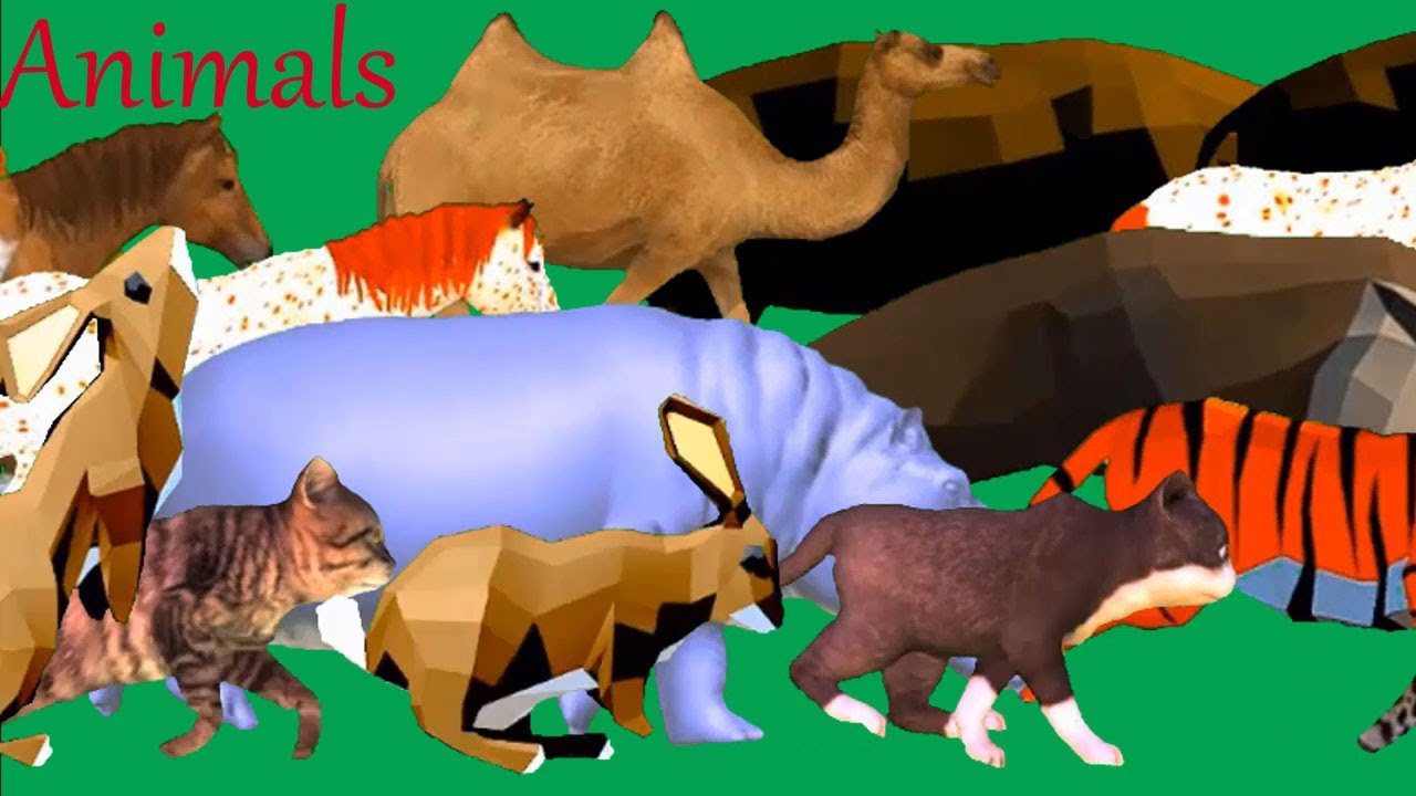 Green Screen Animals Stampede Running and Walking Green Screen Blue ...