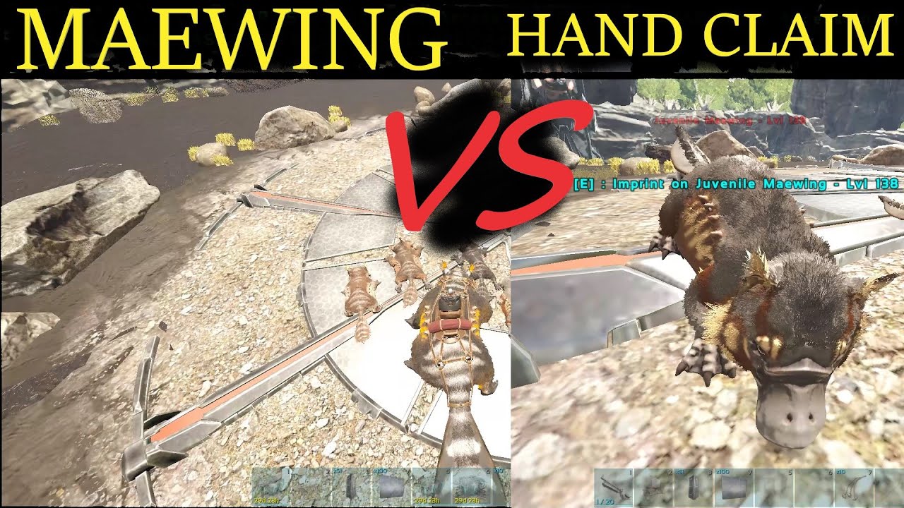 claiming babies with the maewing vs the regular way Ark survival ...