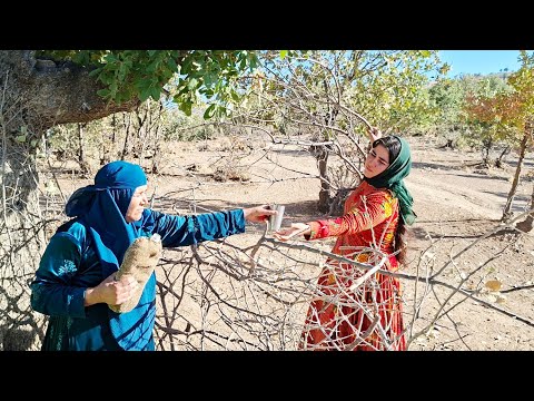 Fati and Her Homeless Mother Survive in the Mountains | Building a Safety Wall! 🏔️🔥