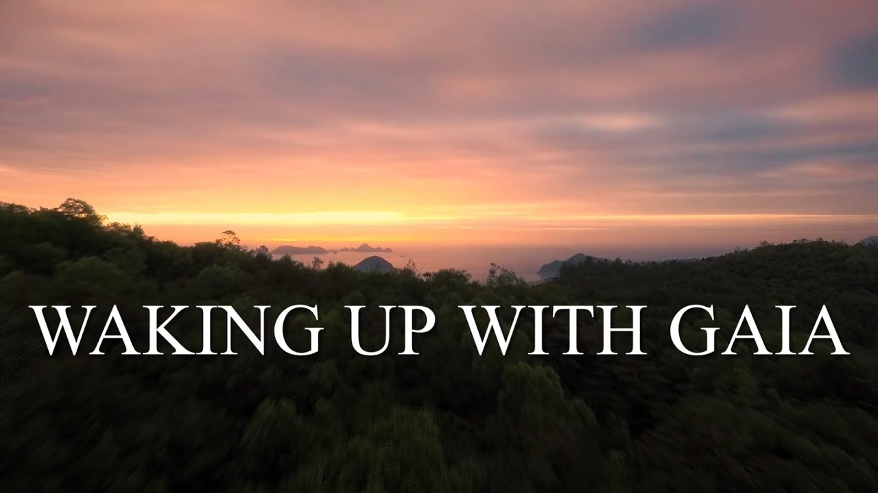 Waking Up With GAIA | Slow Morning Nature ASMR with Beautiful Music to ...