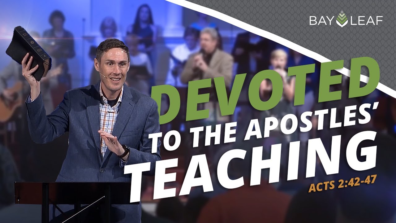 Bay Leaf | Devoted to the Apostles' Teaching | Pastor Jared Richard ...
