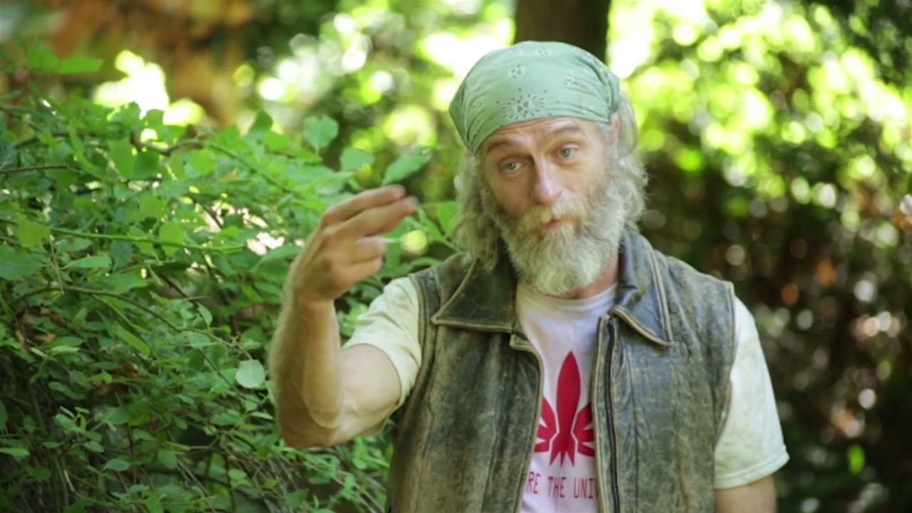 Star Leaf Outtakes - YouTube