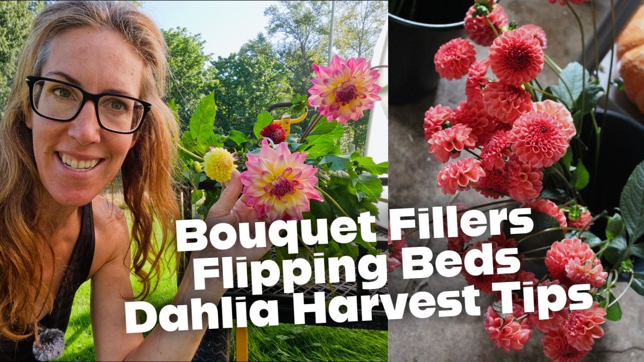 Fall Garden Prep | Flipping Beds, Fall Fillers, Dahlia Harvest Tips ...