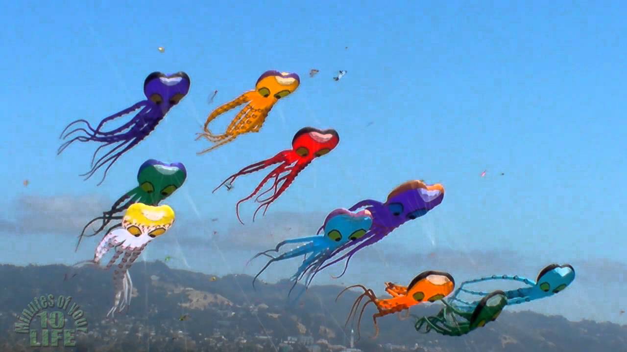 10 Minutes Of Your Life: Watching The Octopile ( Giant Octopus Kites ...