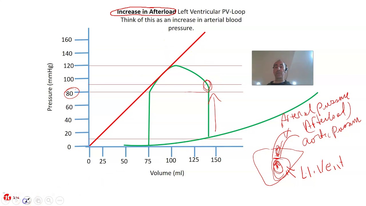 Cardiovascular Short Video: PV-Loop Video #3 Increased Afterload - YouTube