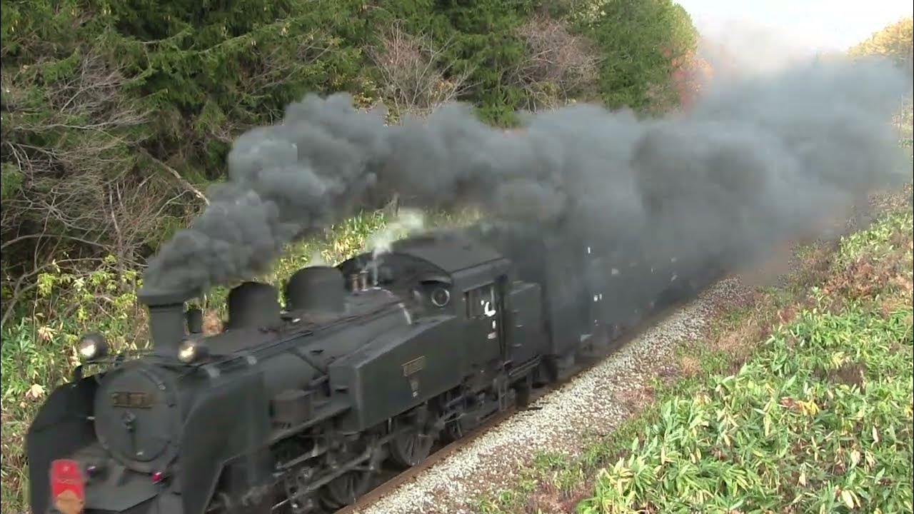 C11 207 SLニセコ号 (2014.10.25) - YouTube