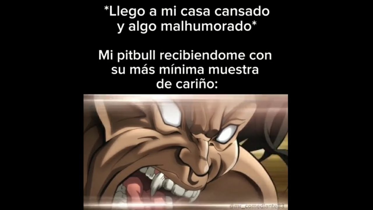 Los mejores memes de baki parte 24 🍷🧐 - YouTube