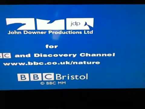 John Downer Productions/BBC Bristol(2000) - YouTube