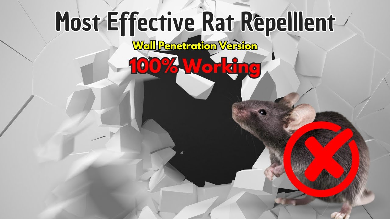 15000Hz, 17500Hz & 20000Hz Ultrasonic Ultimate Extreme Mouse and Rat ...