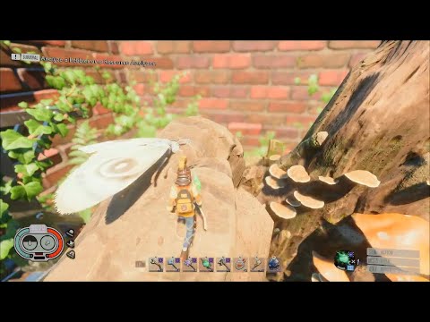 Grounded All Moth Spawns / Grounded 1.0 - YouTube