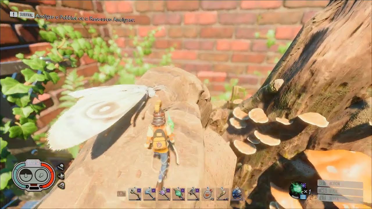 Grounded All Moth Spawns / Grounded 1.0 - YouTube