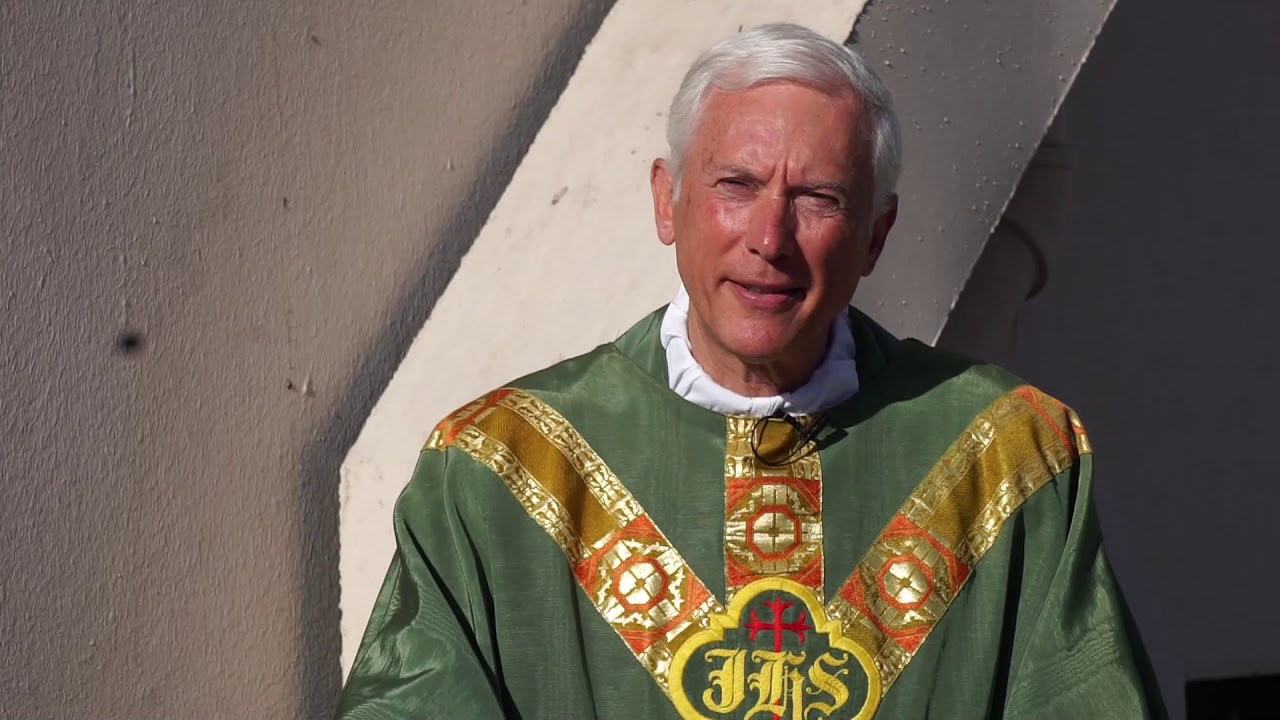 Fr. Joseph Illo's Homily for Fifteenth Sunday in Ordinary Time - YouTube