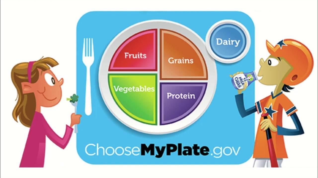 Food Groups & MyPlate - YouTube