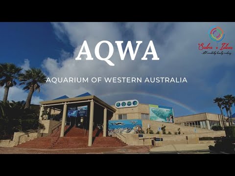 AQWA aquarium perth; Western Australia | biggest Aquarium of Western ...