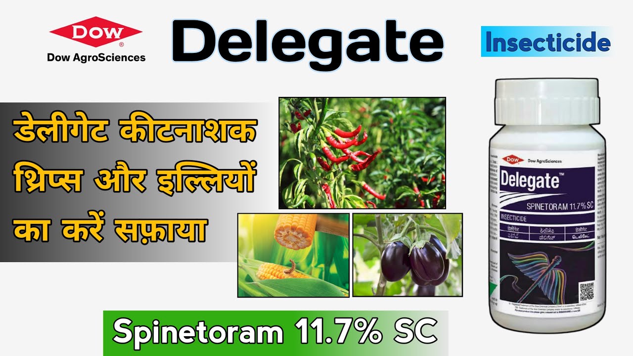 Dow Delegate Insecticide | Dow AgroSciences | Spinetoram 11.7% SC ...