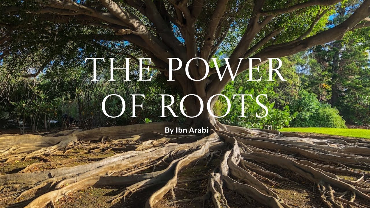 The Power Of Roots: Poem by Ibn Arabi - YouTube