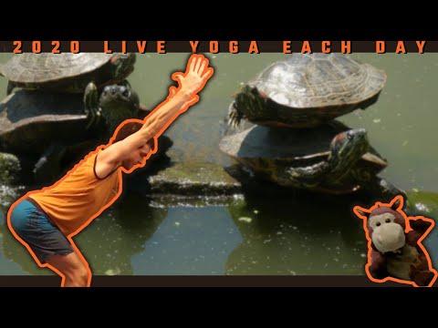 Go Go Go | Yoga with Marcel & Shawn - Day 204 | Challenge 2020