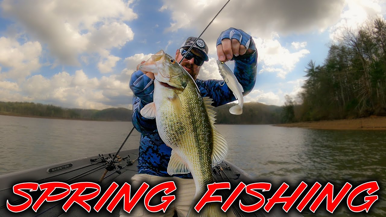 Power Fishing Tips For Spring! (Spinnerbait, Swimbait, And Micro Baits ...