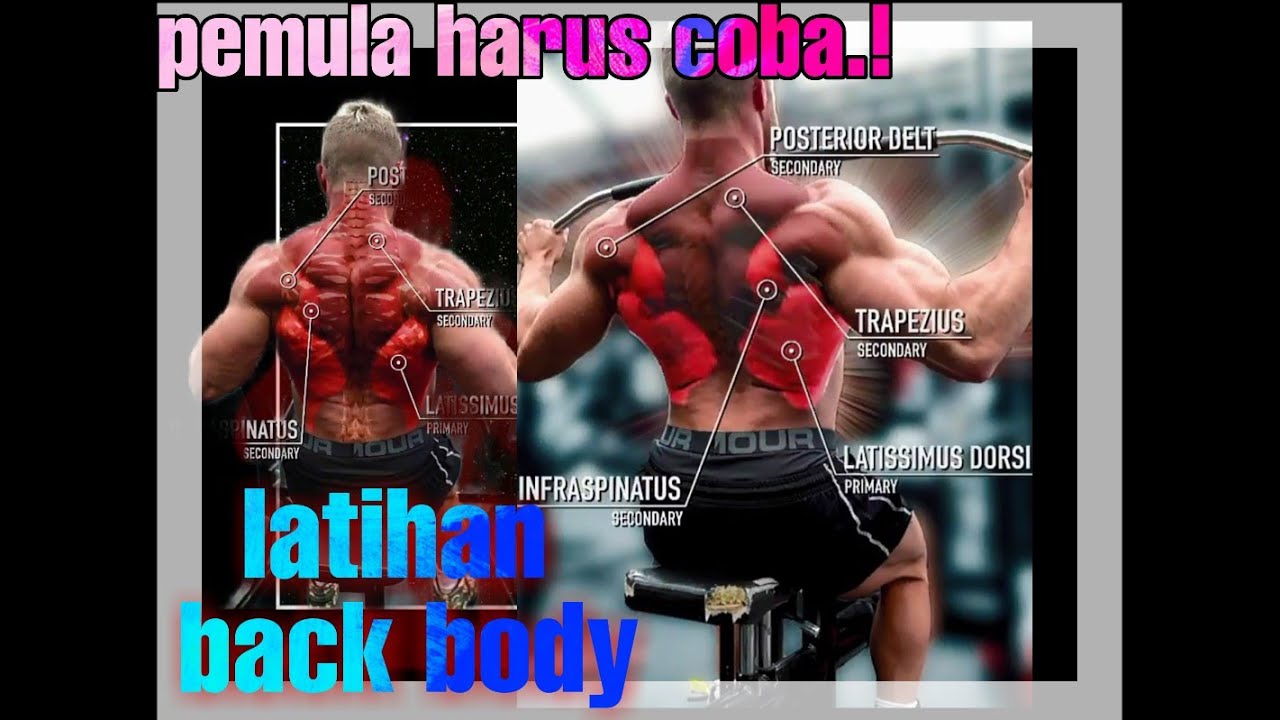 #latihan punggung #latihan back body #gym mania. latihan punggung back ...