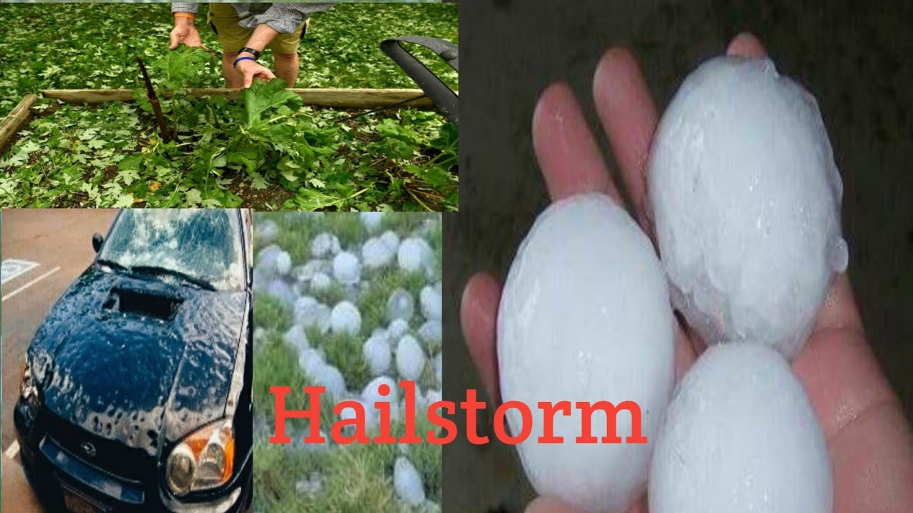 Hail Storm Freaks of Nature & largest hail stone #shila_bristy #vlogs # ...